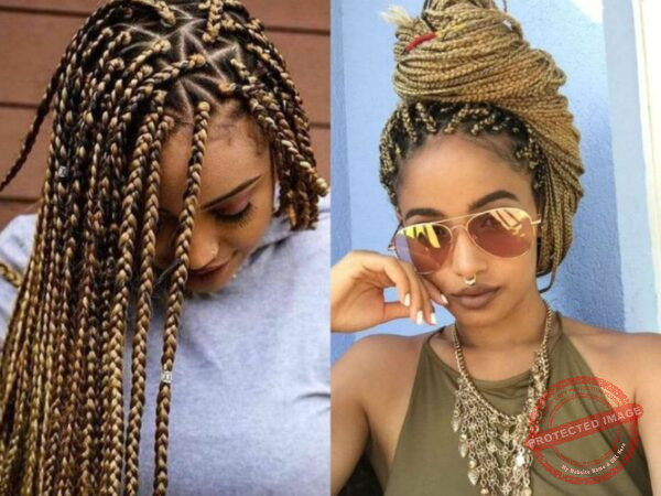 Dookie Braids: What Are They and Hairstyles Ideas | Apohair