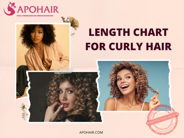 Curly Hair Length Chart: Path to Perfect Curls | Apohair